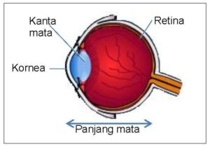 Perbezaan Rabun Dekat & Rabun Tua Yang Pastinya Ramai Tak Tahu - Oasis ...